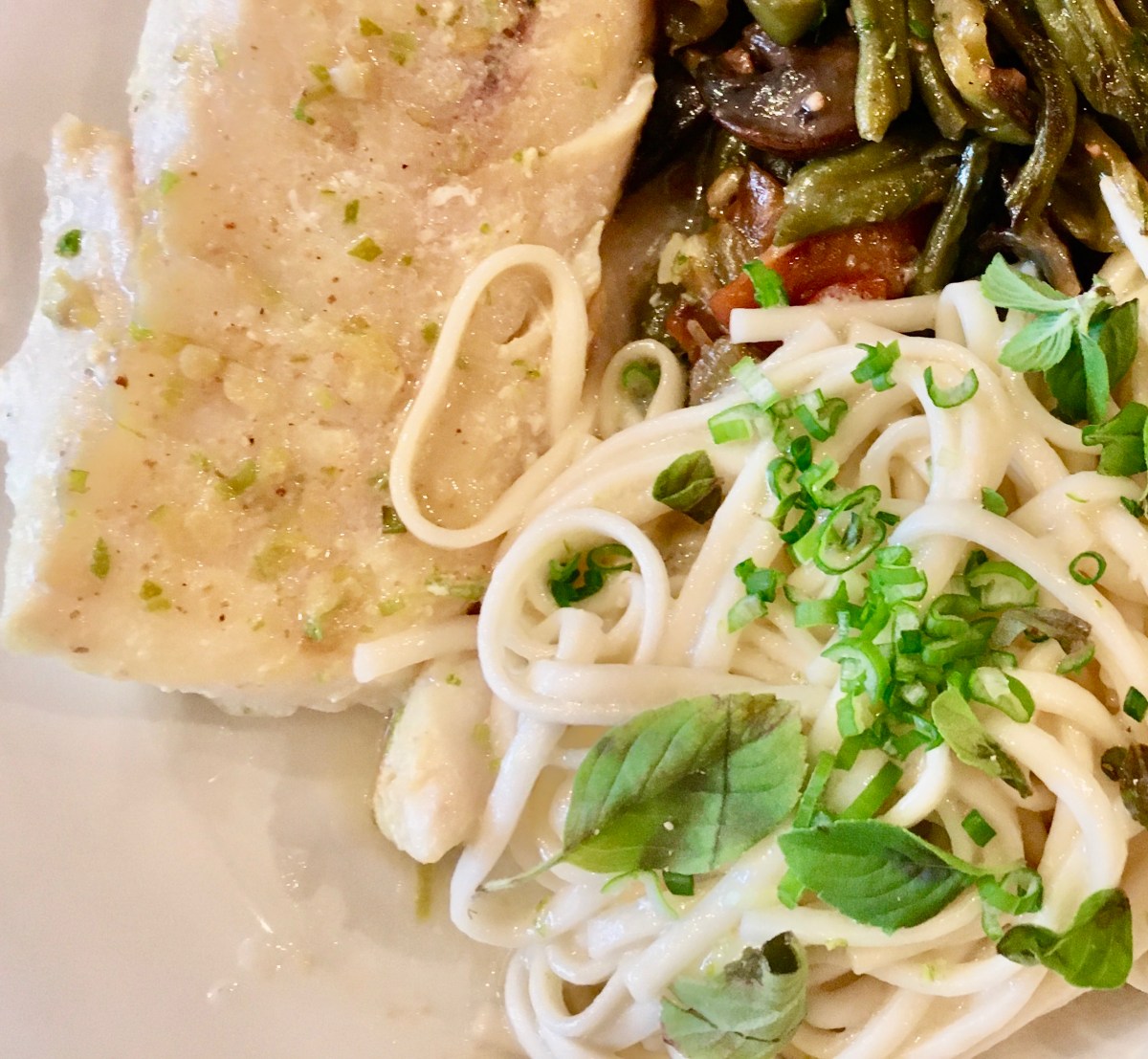 Coco Alfredo Sauce – COOK SHARE